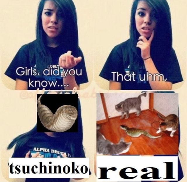 Girls, did ALPRA tsuchinoko, re al - iFunny