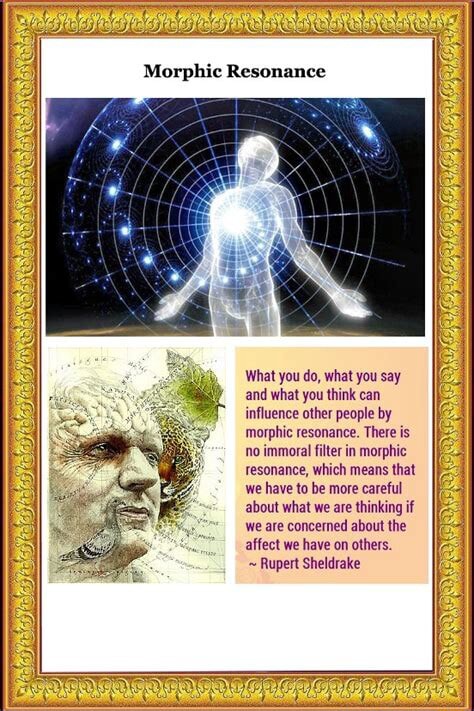 Morphic Resonance What you do, what you say and what you think can ...