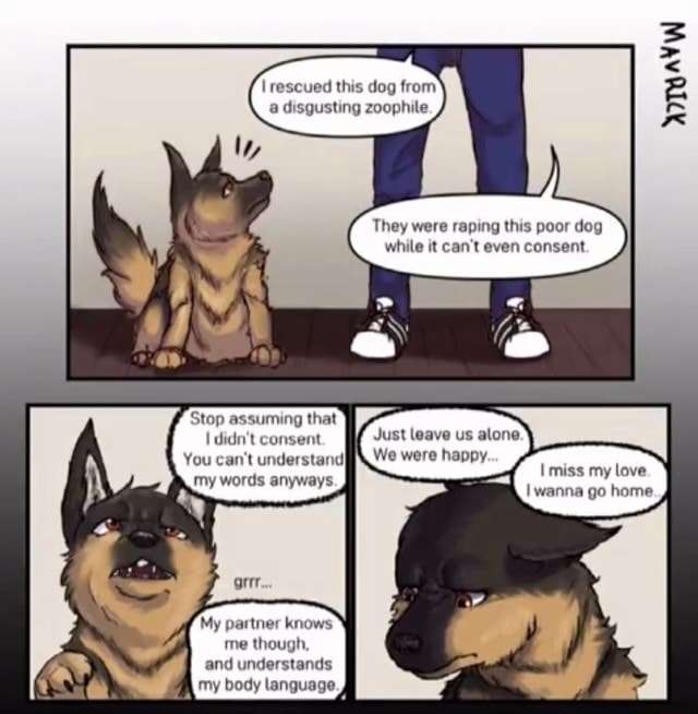Irescued this dog from disgusting zoophile They were raping this poor ...