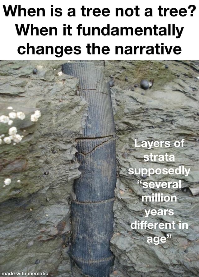 When is a tree not a tree? When it fundamentally changes the narrative ...