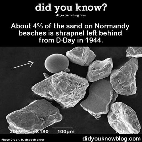 Did you know? About 4% of the sand on Normandy beaches is shrapnel left ...