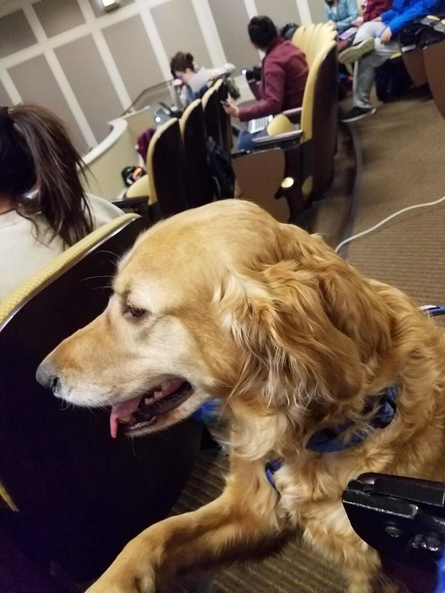 He was very studious - America’s best pics and videos