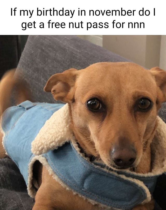 If my birthday in november do I get a free nut pass for nnn - iFunny