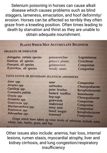 Selenium poisoning in in horses can cause alkali disease which causes ...