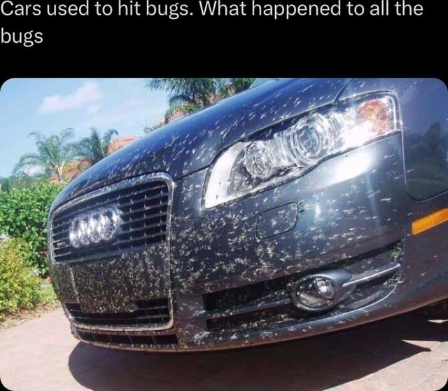 Cars used to hit bugs. What happened to all the bugs - iFunny
