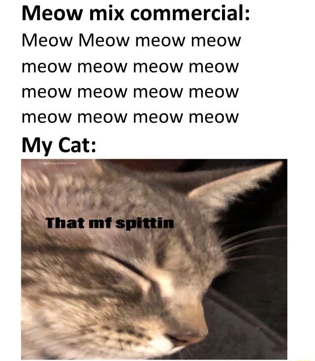 Meow mix commercial: Meow Meow meow meow meow meow meow meow meow meow ...
