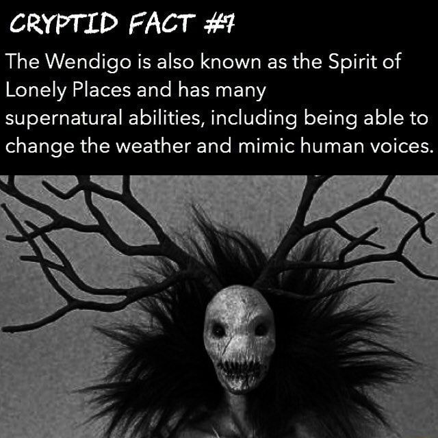 CRYPTID FACT The Wendigo is also known as the Spirit of Lonely Places ...