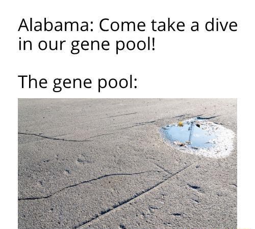 Alabama: Come take a dive in our gene pool! The gene pool: - iFunny