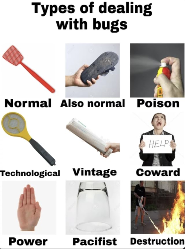 Types of dealing with bugs \"ER Normal Also normal Poison Technological ...