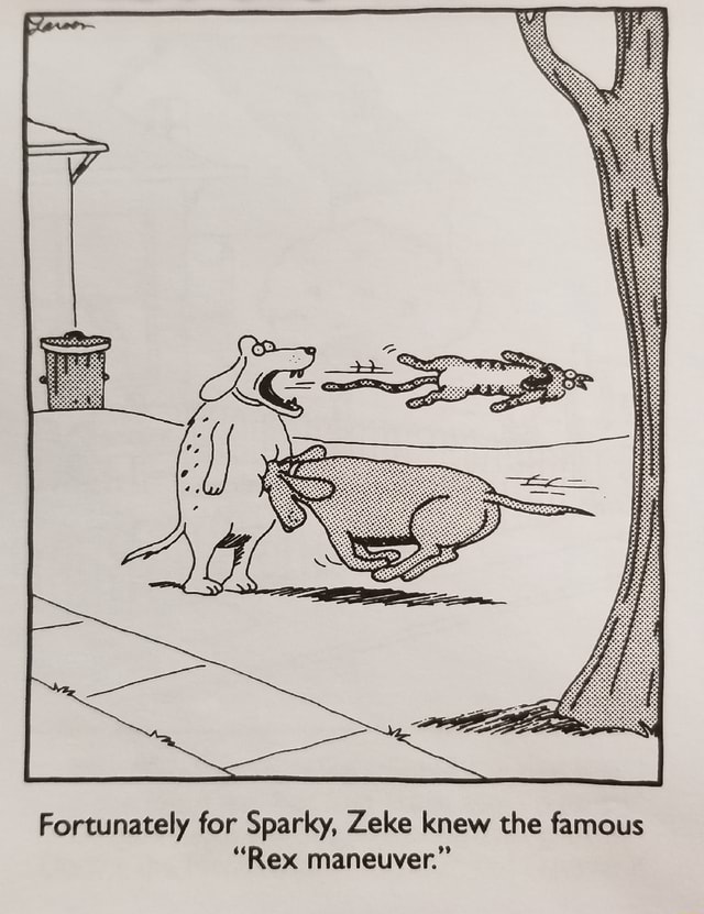 Fortunately for Sparky, Zeke knew the famous "Rex maneuver." - iFunny