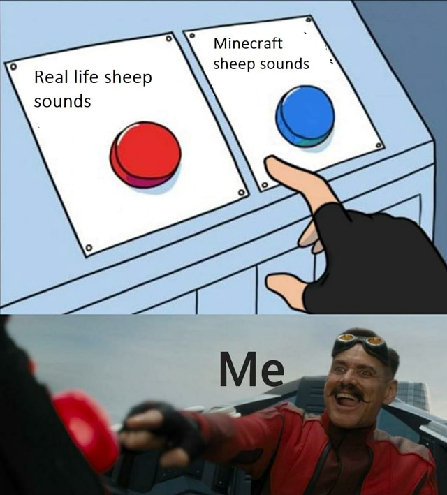Minecraft sheep sounds Real life sheep sounds - iFunny