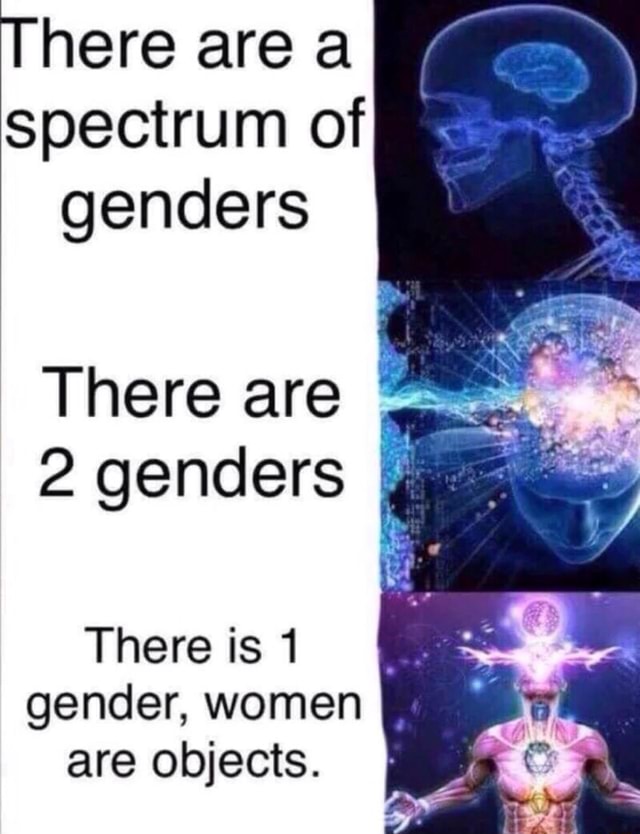 Here are a spectrum of genders There are : , 2 genders i;?” There is 1 ...