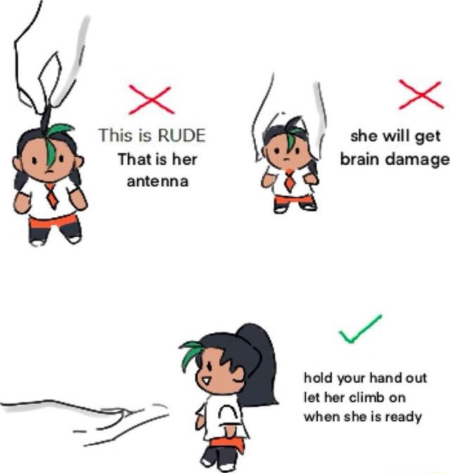 This is RUDE ( she will get That is her brain damage antenna hold your ...