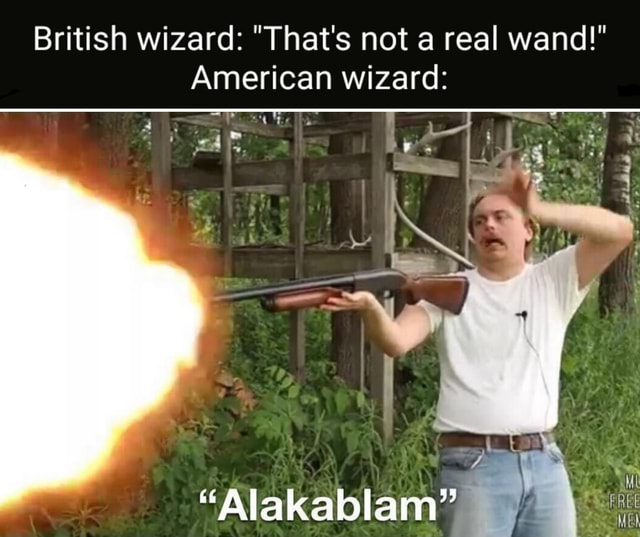 British wizard: "That's not a real wand!" American wizard: at ...