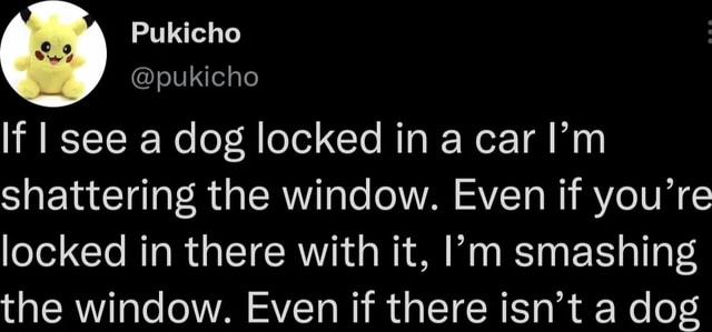 Pukicho @pukicho If I see a dog locked in a car I'm shattering the ...