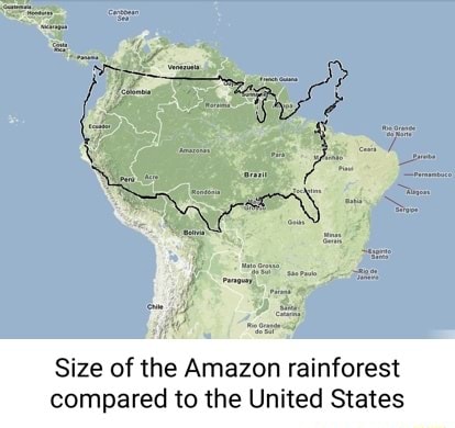Size of the Amazon rainforest compared to the United States - iFunny