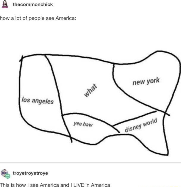 Thecommonchick how a lot of people see America: los angeles ...