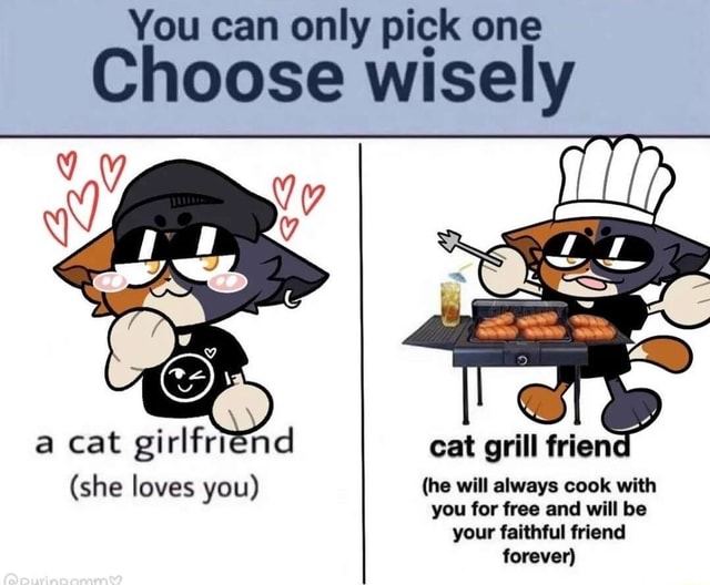 You can only pick one Choose wisely a cat girlfriend cat grill friend ...