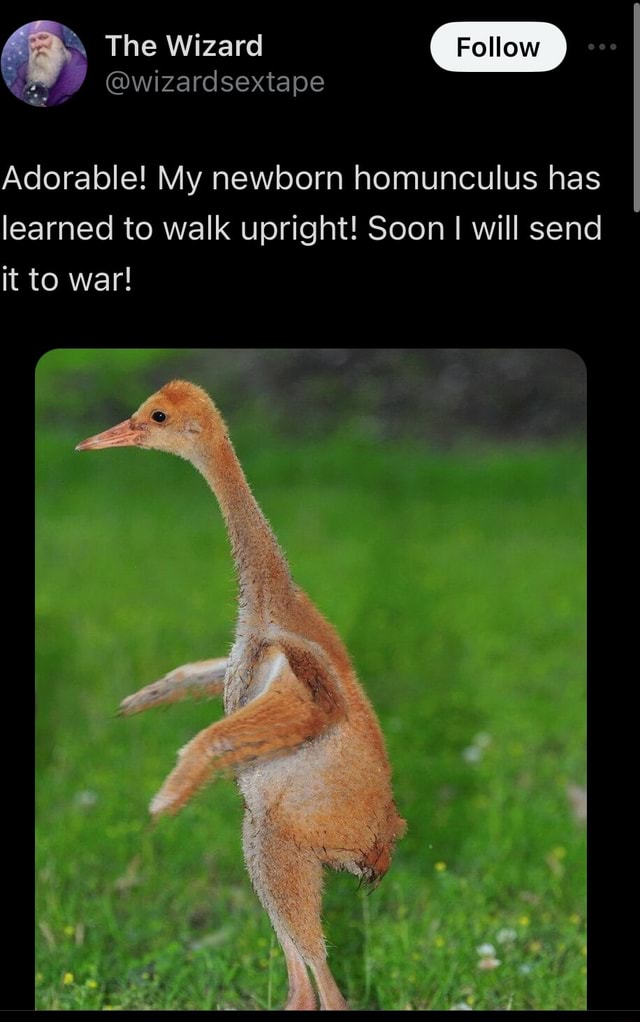 The Wizard @wizardsextape Follow Adorable! My newborn homunculus has ...