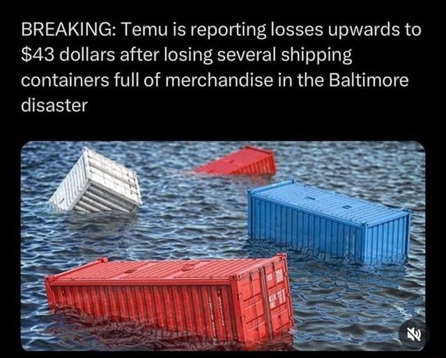 BREAKING: Temu is reporting losses upwards to $43 dollars after losing ...