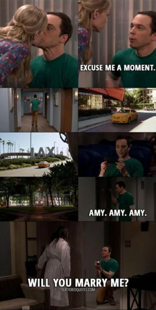 EXCUSE ME A MOMENT. AMY. AMY. AMY. WILL YOU MARRY ME? - iFunny