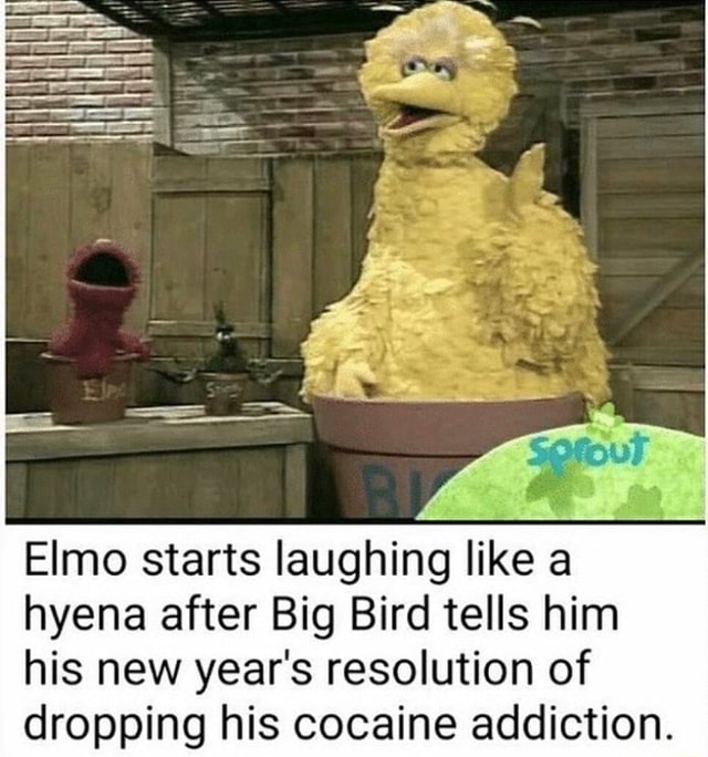 Elmo starts laughing like a hyena after Big Bird tells him his new year ...