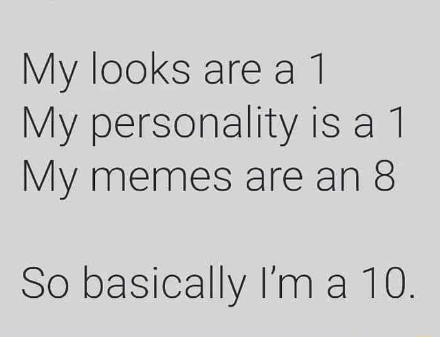 My looks are a 1 My personality is My memes are an So basically I'm a ...