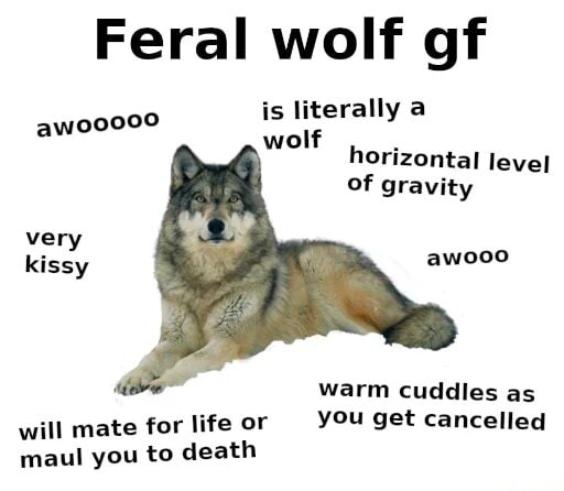 Feral wolf of is literally a 00000 aw wolf ve horizontal level of ...