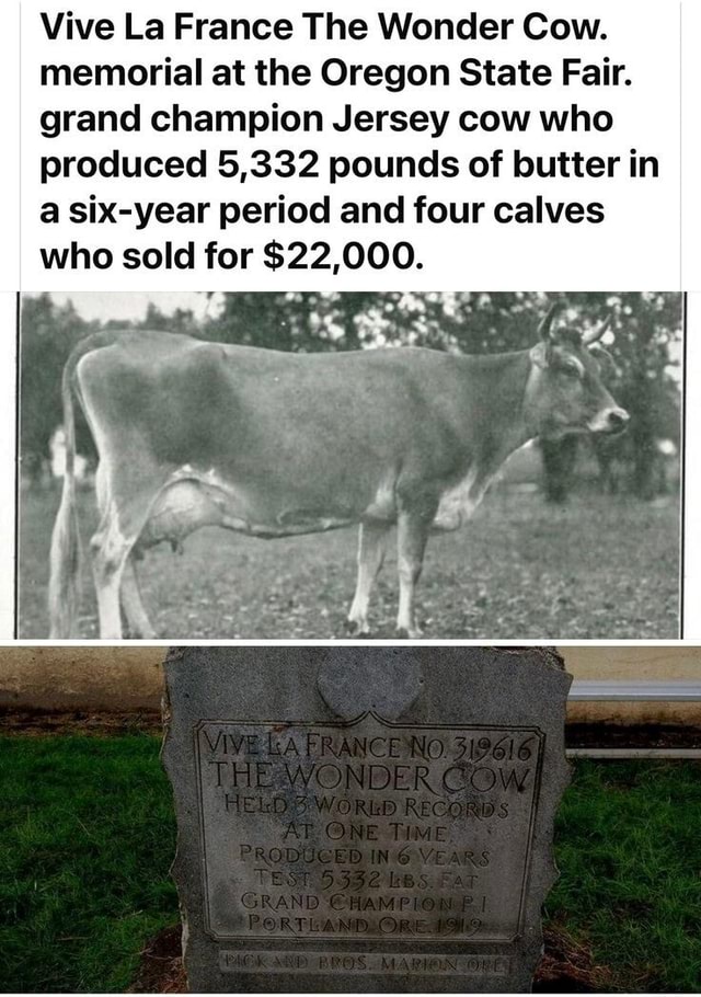 Vive La France The Wonder Cow. memorial at the Oregon State Fair. grand ...
