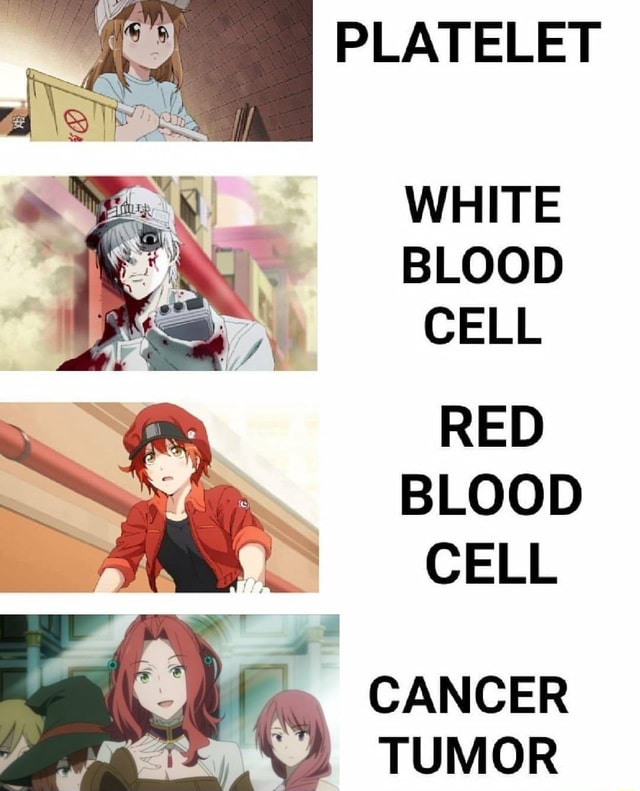 PLATELET WHITE BLOOD CELL RED BLOOD - iFunny