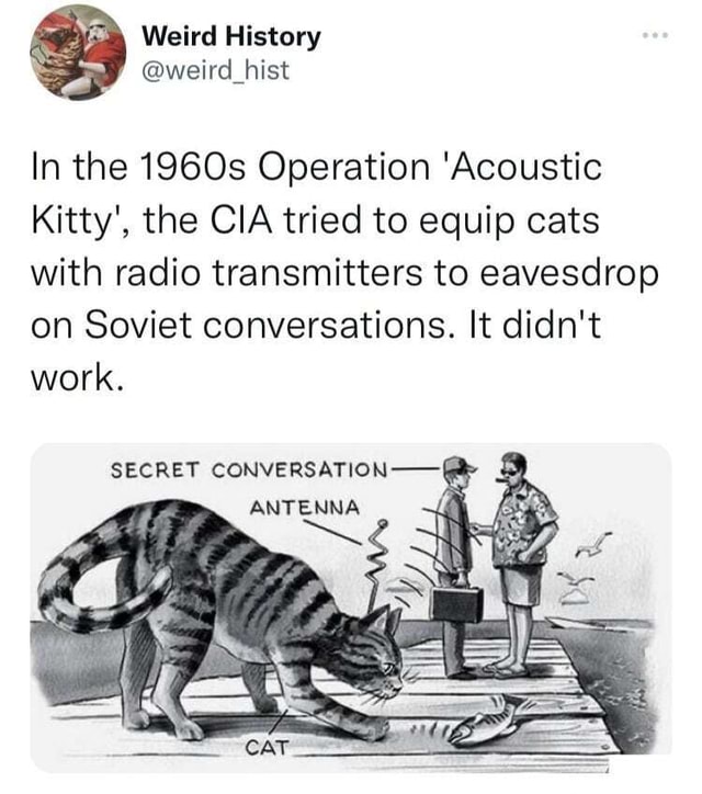 @weird_hist In the 1960s Operation 'Acoustic Kitty', the CIA tried to ...