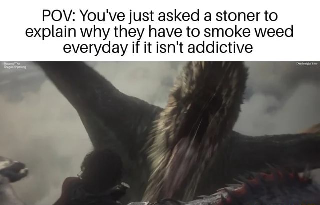 POV: You've just asked a stoner to explain why they have to smoke weed ...
