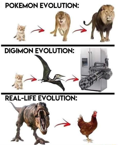 POKEMON EVOLUTION: DIGIMON EVOLUTION: REAL-LIFE EVOLUTION: - iFunny