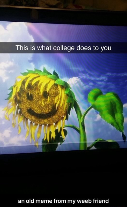 An old meme from my weeb friend - an old meme from my weeb friend - iFunny