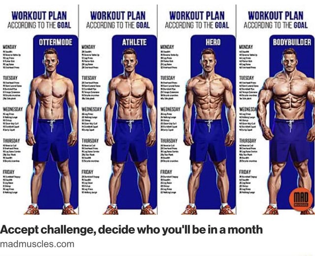 WORKOUT PLAN ACCORDING TO THE GOAL WORKOUT PLAN ACCORDING TO THE GOAL ...