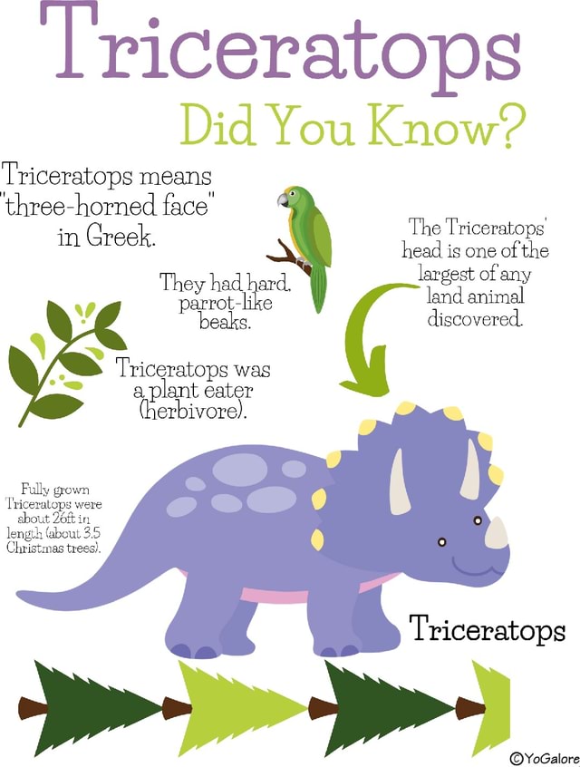Triceratops Did You Know? Triceratops means three-horned face The ...