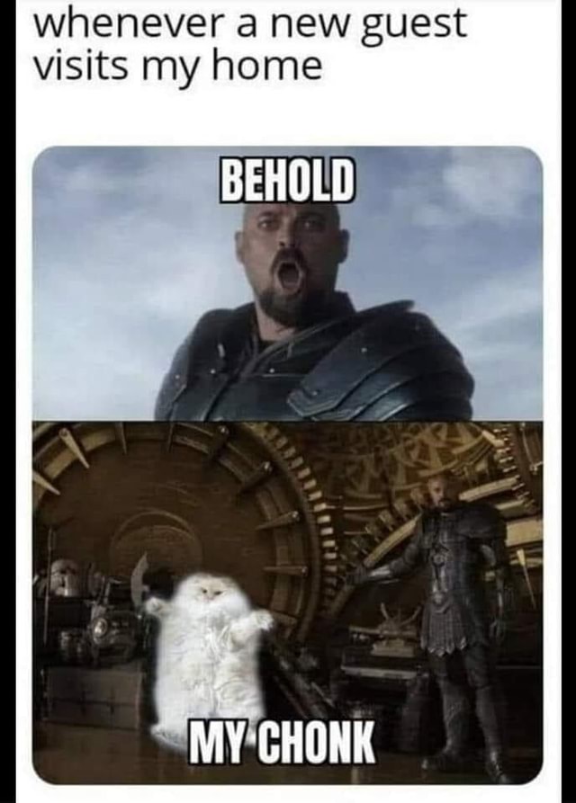 Whenever new guest visits my home BEHOLD MY GHONK - iFunny