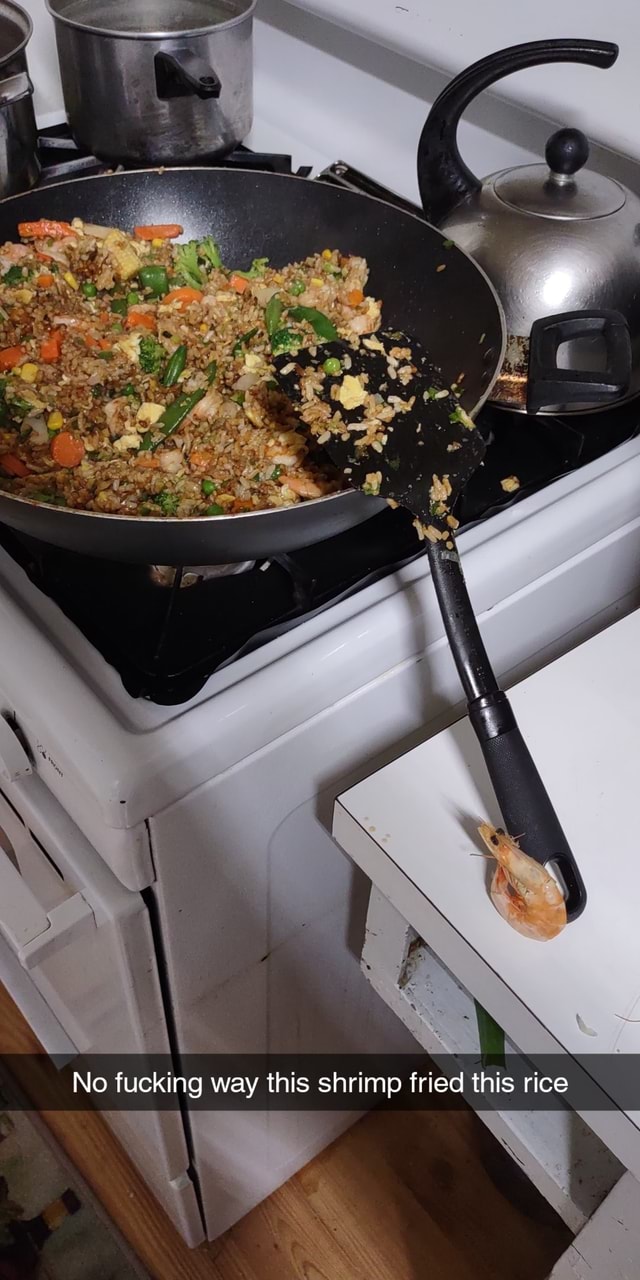 No fucking way this shrimp fried this rice - iFunny
