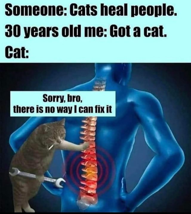 Someone: Cats heal people. 30 years old me: Got a cat. Sorry, bro ...