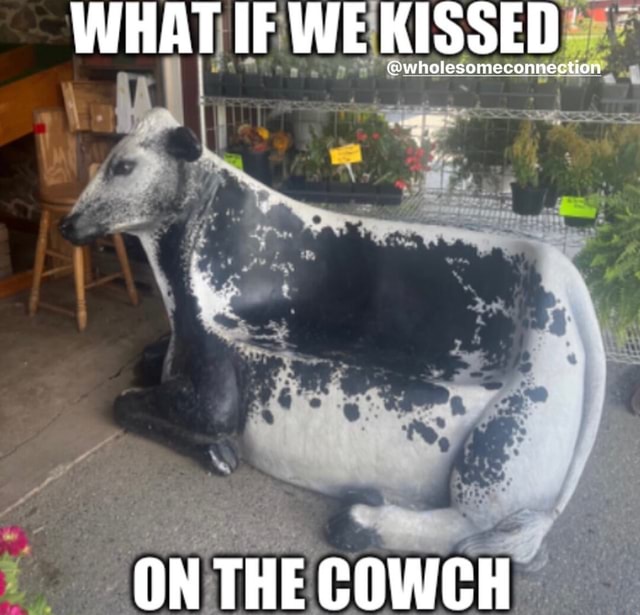 WHAT IF WE KISSED @wholesomeconnection ON THE COWCH - iFunny