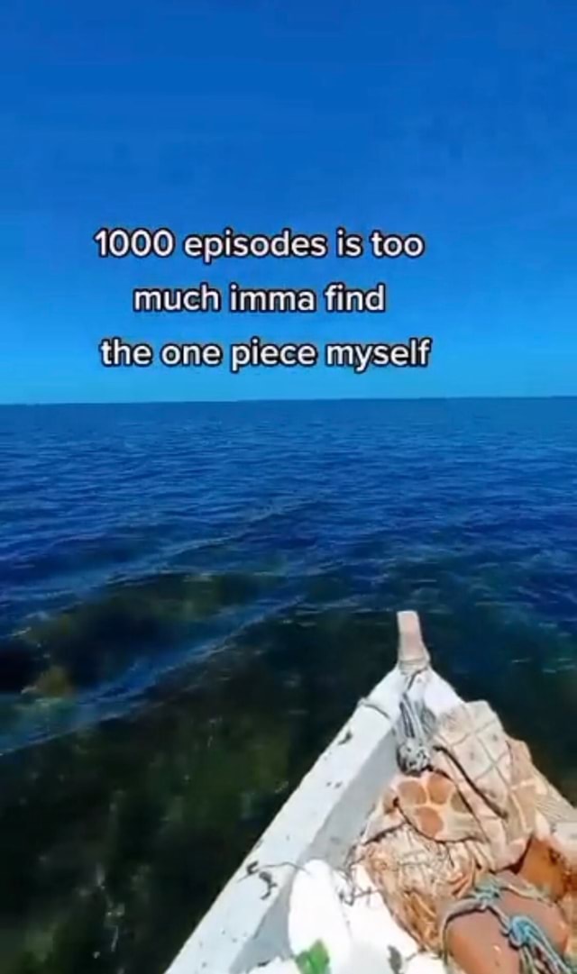 1000 episodes is too much imma find piece myself - iFunny