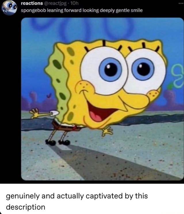 Reactions spongebob leaning forward looking deeply gentle smile ...