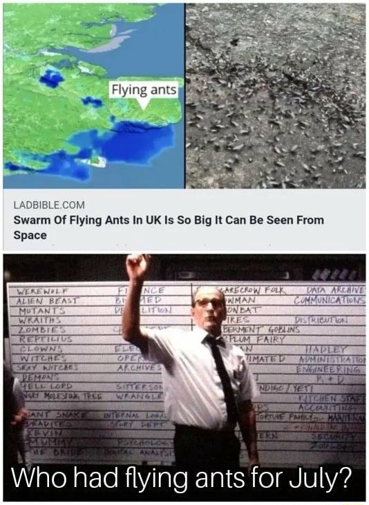'Swarm Of Flying Ants In UK Is So Big It Can Be Seen From Space Who had ...