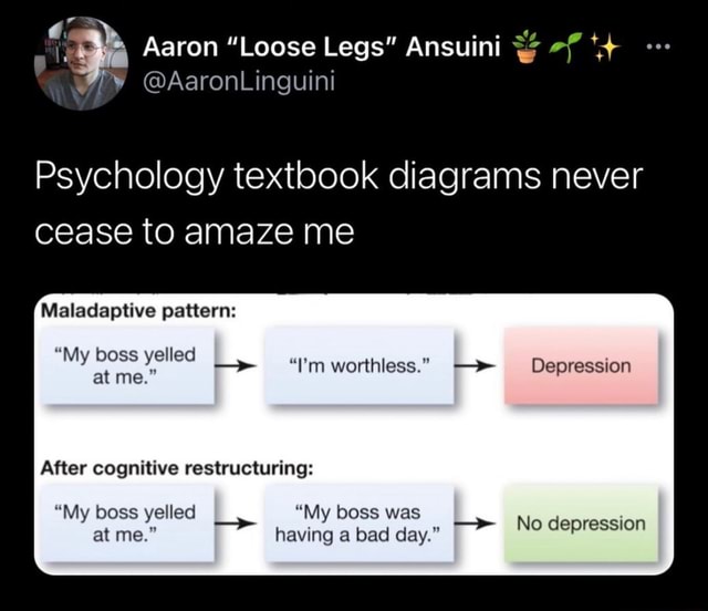 Aaron "Loose Legs" Ansuini @AaronLinguini Psychology textbook diagrams ...