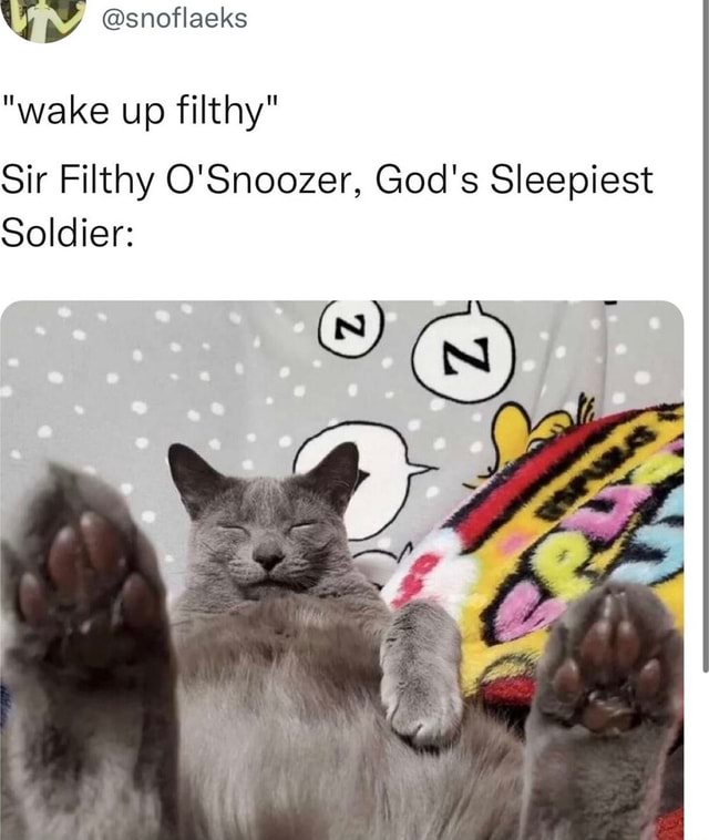 "wake up filthy" Sir Filthy O'Snoozer, God's Sleepiest Soldier: - iFunny