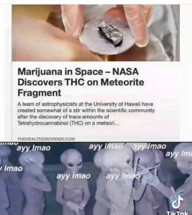 Marijuana in Space - NASA Discovers THC on Meteorite Fragment A team of ...