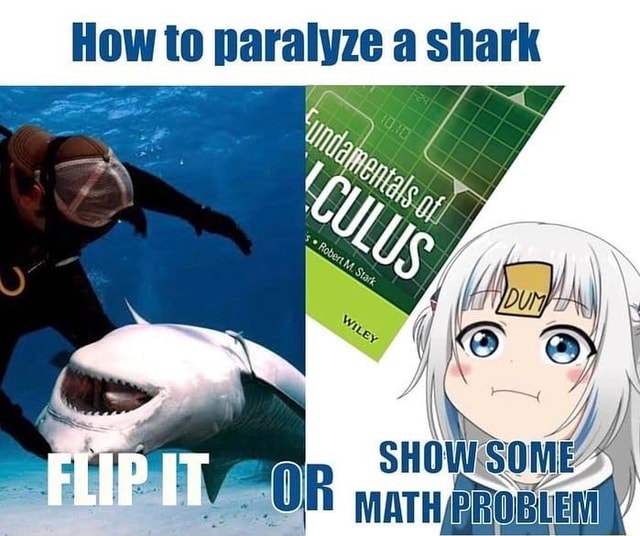 How to paralyze a shark FLIP IT SHOW SOME - iFunny