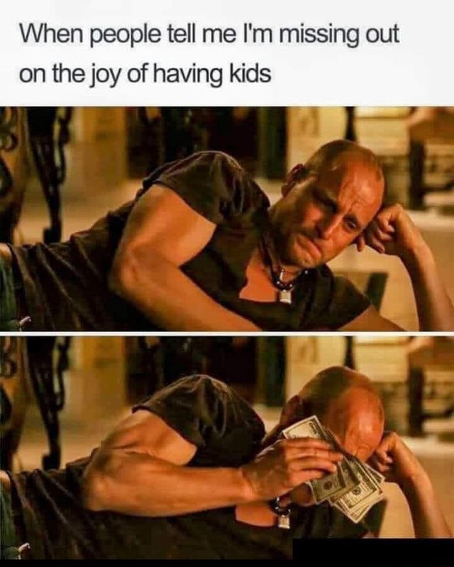 When people tell me I'm missing out on the joy of having kids Va - iFunny