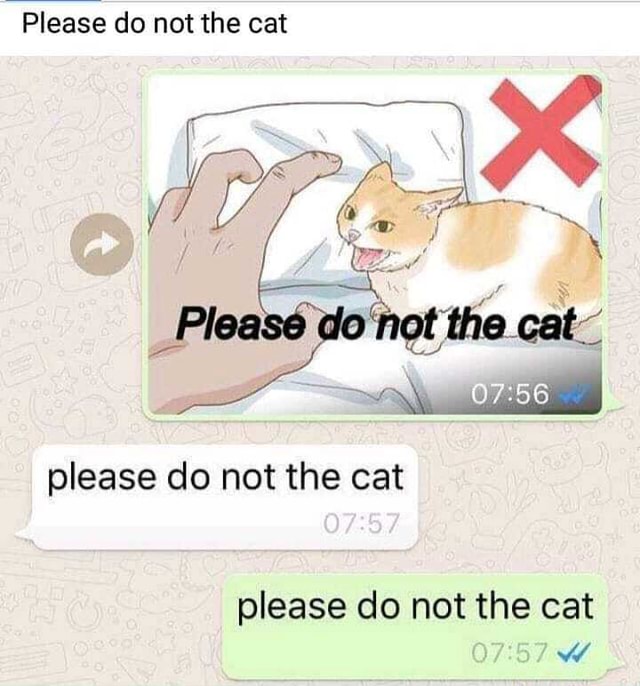 Please do not the cat please do not the cat please do not the cat ...