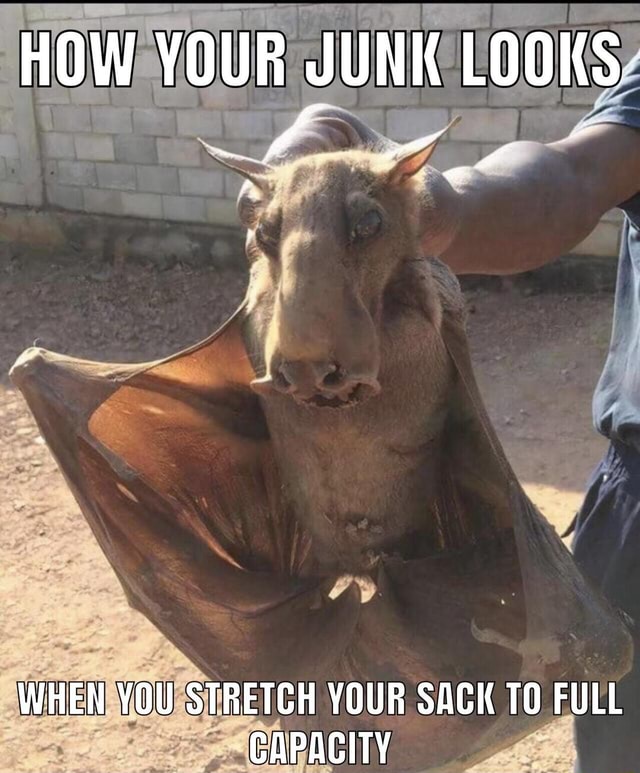 HOW YOUR JUNK LOOKS. WHEN YOU STRETCH YOUR SACK FULL CAPACITV - iFunny